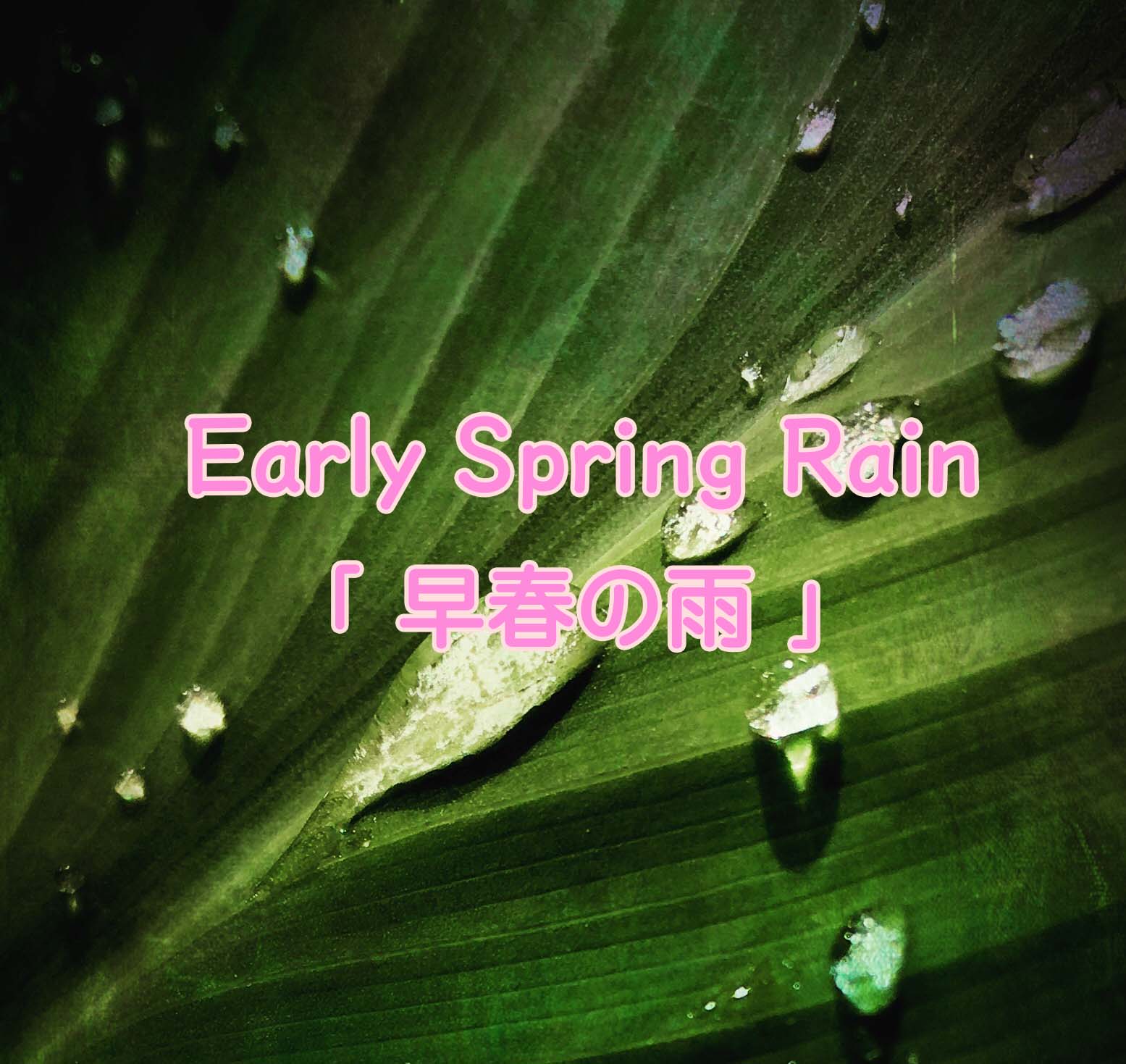 Early Spring Rain ～ 早春の雨 - novalue - 自分らしさで彩るメディア