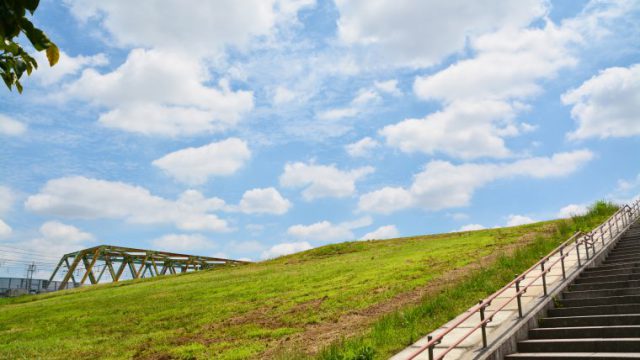 LSS #01-5 - novalue - 自分らしさで彩るメディア