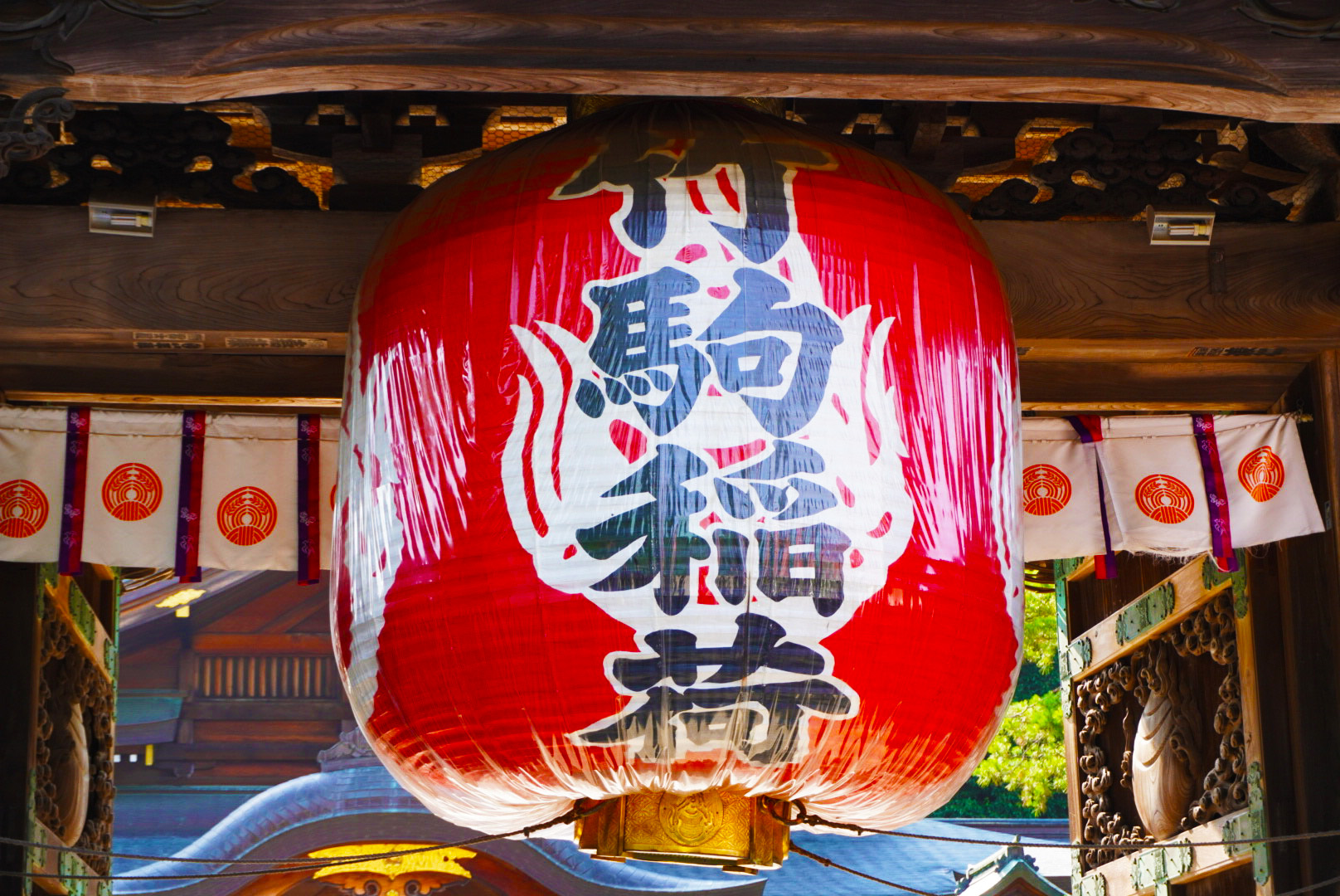 夏詣の撮影に行ってきました - novalue - 自分らしさで彩るメディア