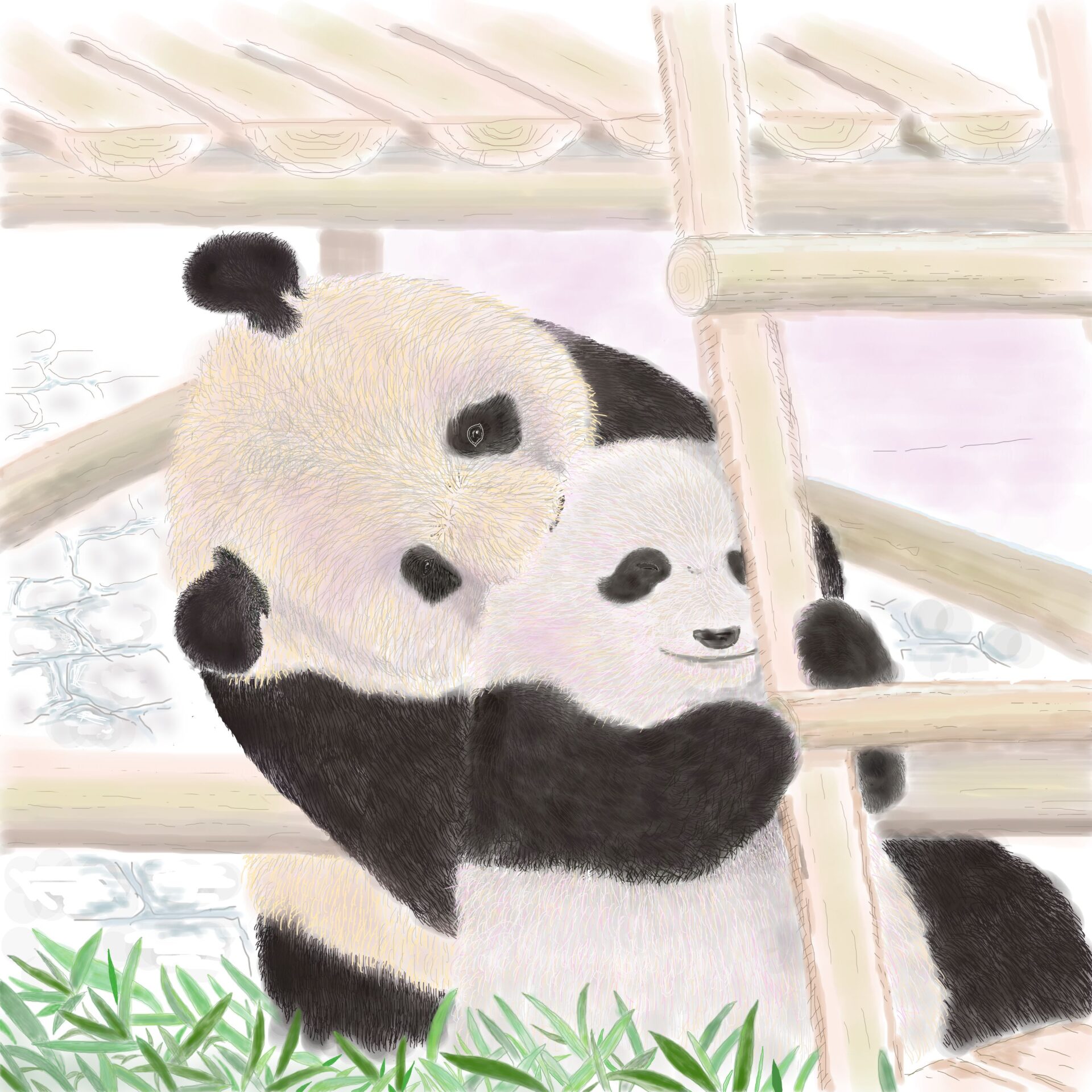 パンダの親子3 - novalue - 自分らしさで彩るメディア