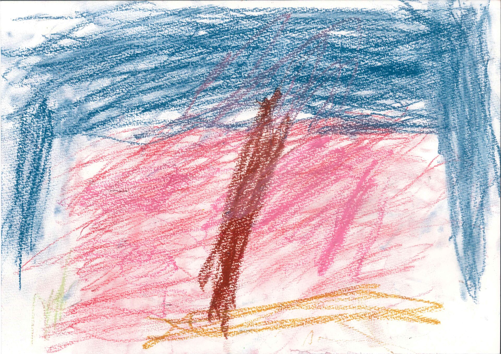 夜桜 - novalue - 自分らしさで彩るメディア