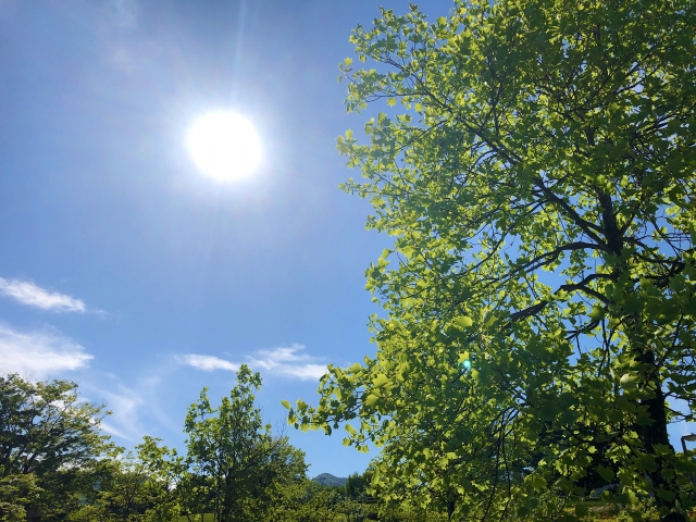 イラスト練習日記（その5） - novalue - 自分らしさで彩るメディア