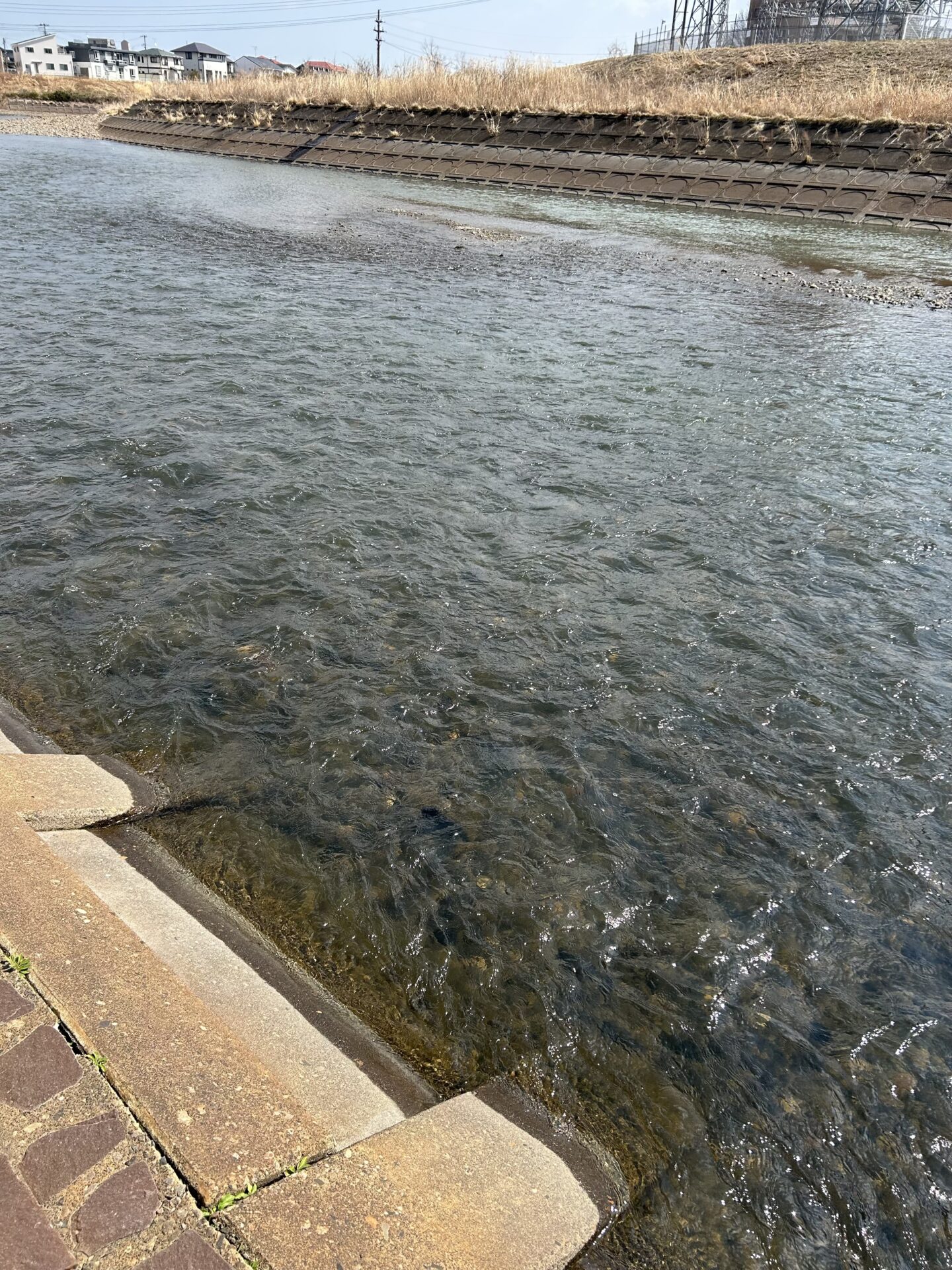 温もり - novalue - 自分らしさで彩るメディア