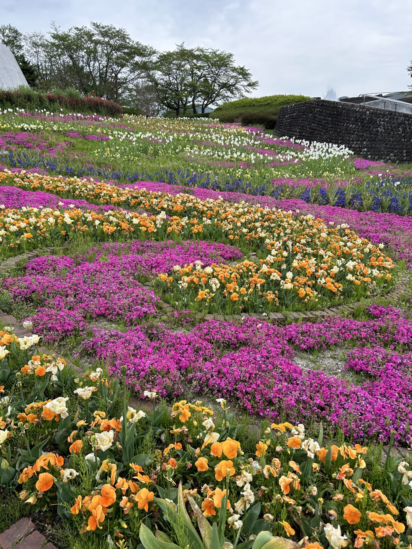 冒険 - novalue - 自分らしさで彩るメディア