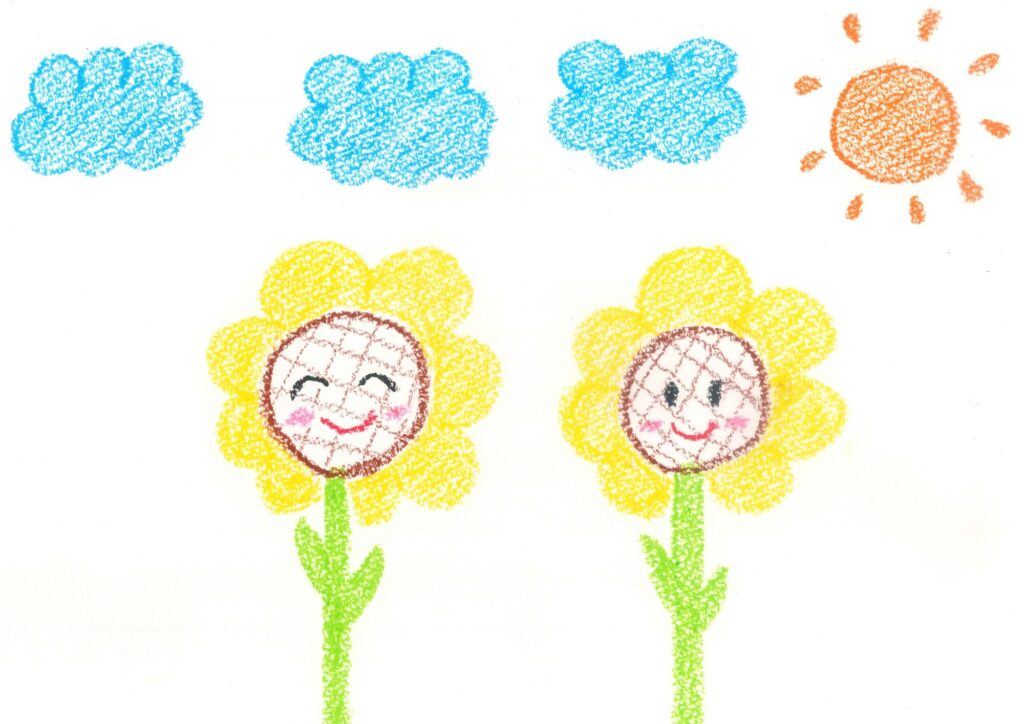 ひまわり - novalue - 自分らしさで彩るメディア