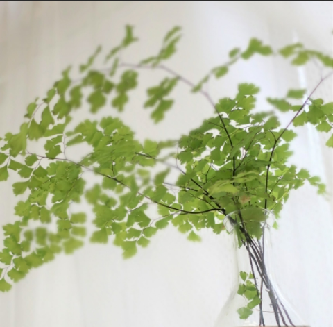 色のお勉強15 - novalue - 自分らしさで彩るメディア