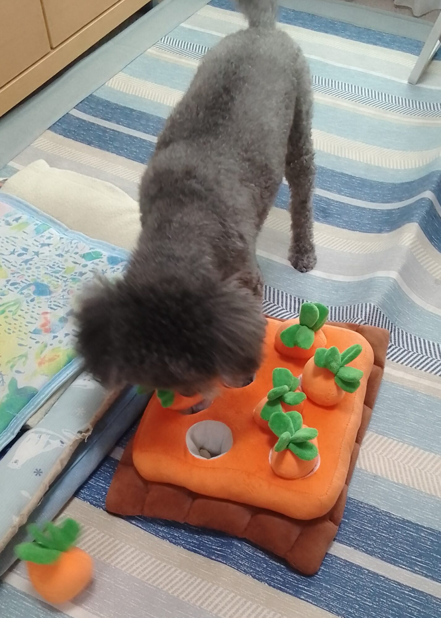 銀太日記 - novalue - 自分らしさで彩るメディア