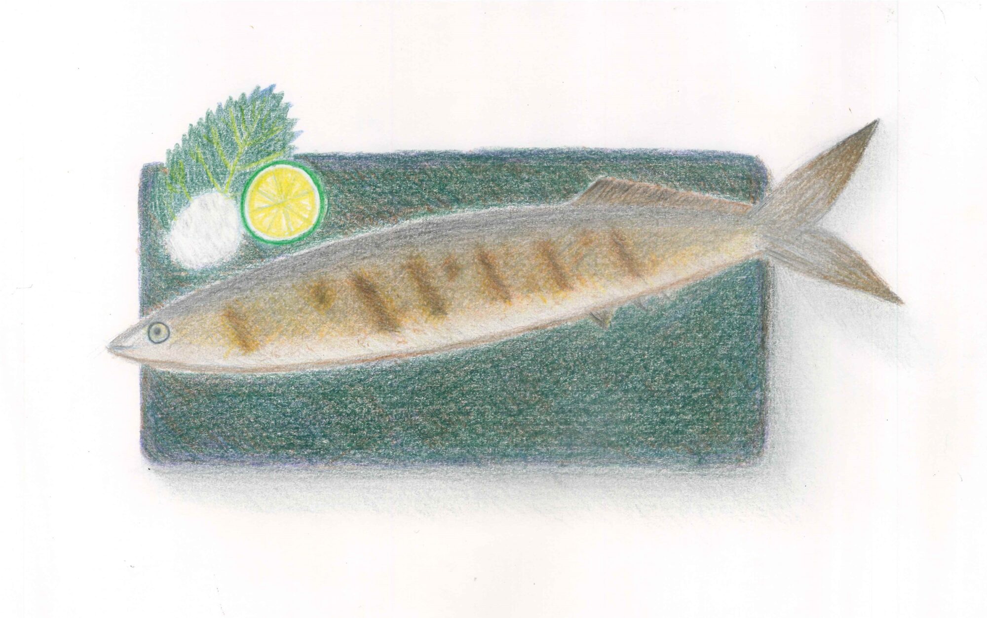 秋刀魚 - novalue - 自分らしさで彩るメディア