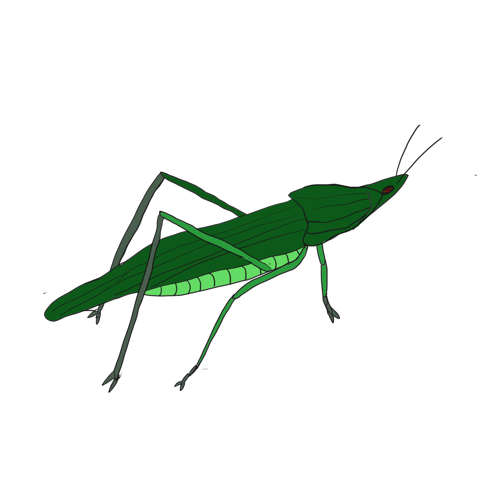 名前と実状は一致しない。それが、クビキリギス - novalue - 自分らしさで彩るメディア