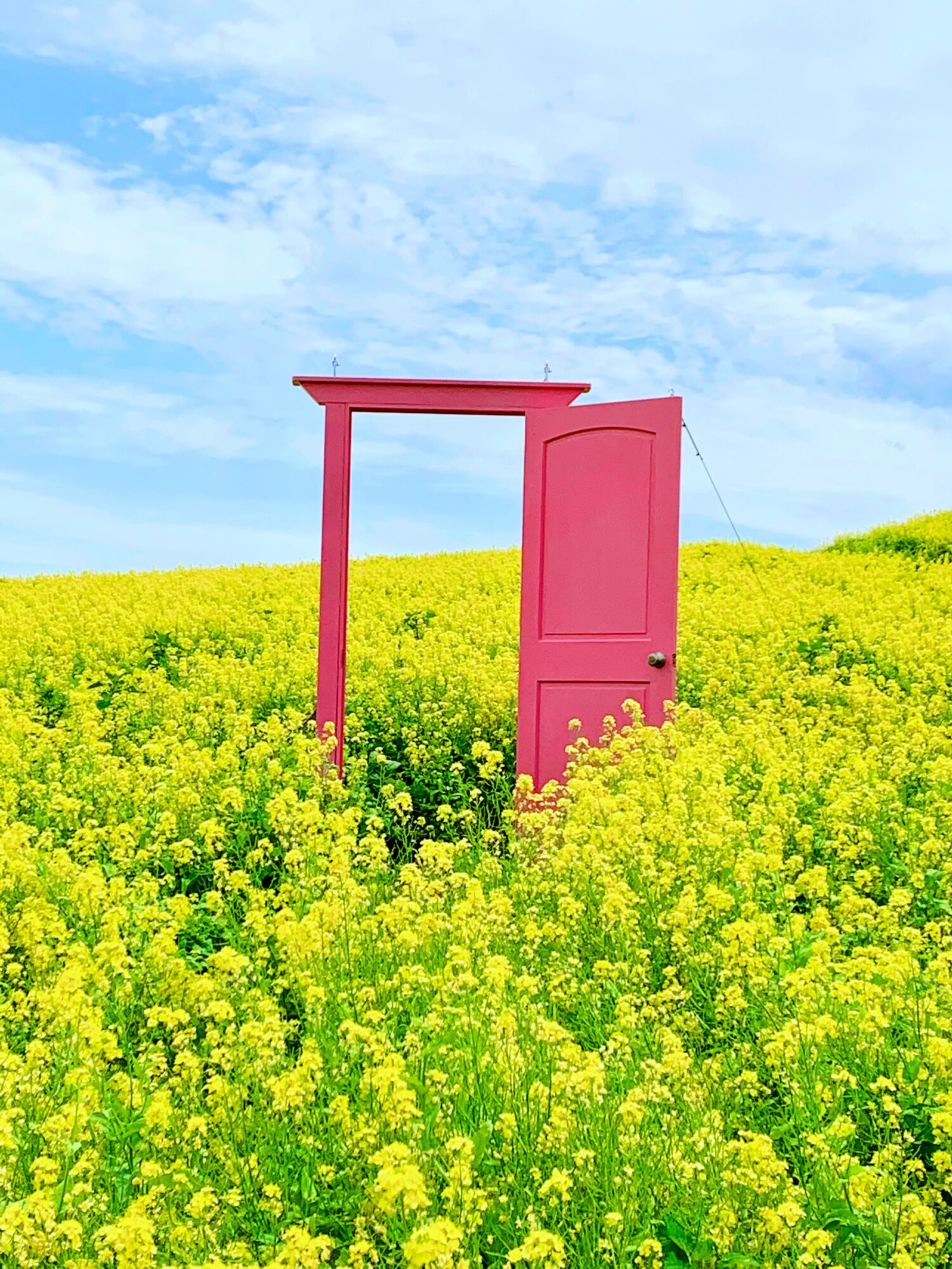 manabyとネイルと私 - novalue - 自分らしさで彩るメディア