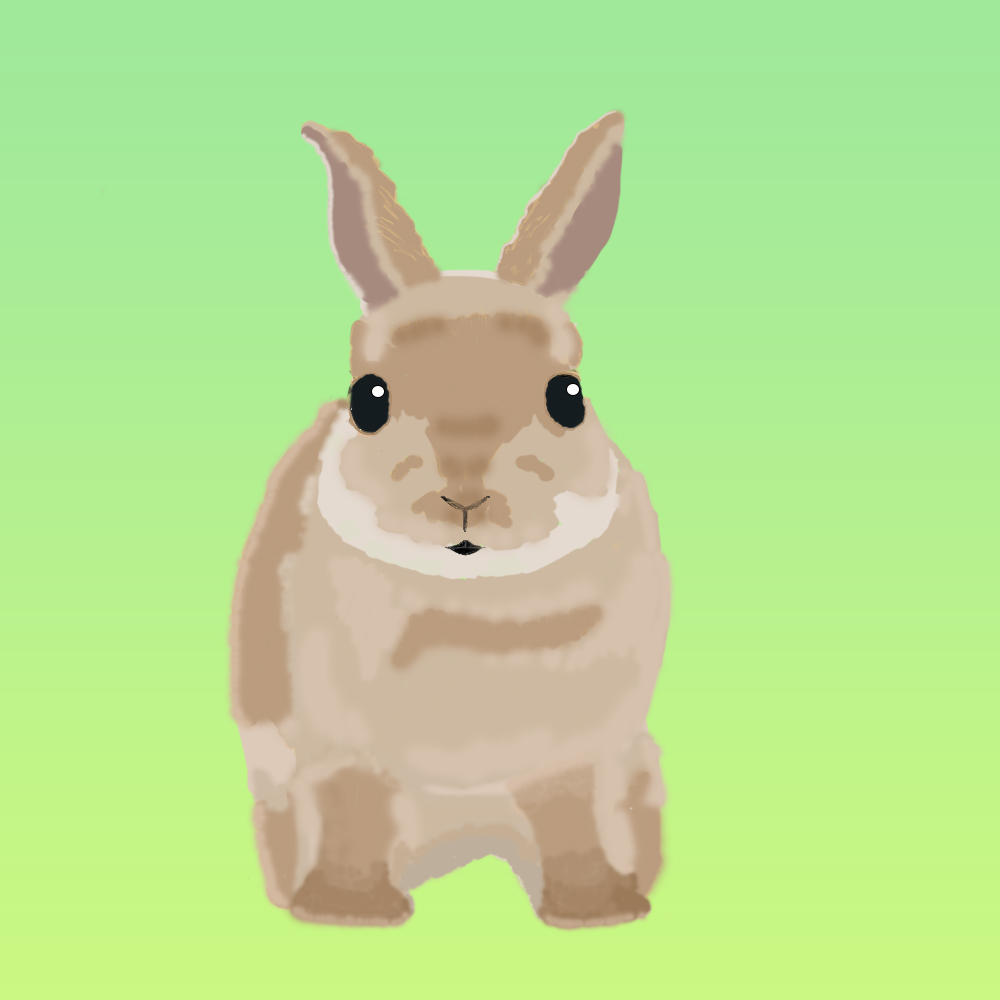 ウサギ - novalue - 自分らしさで彩るメディア