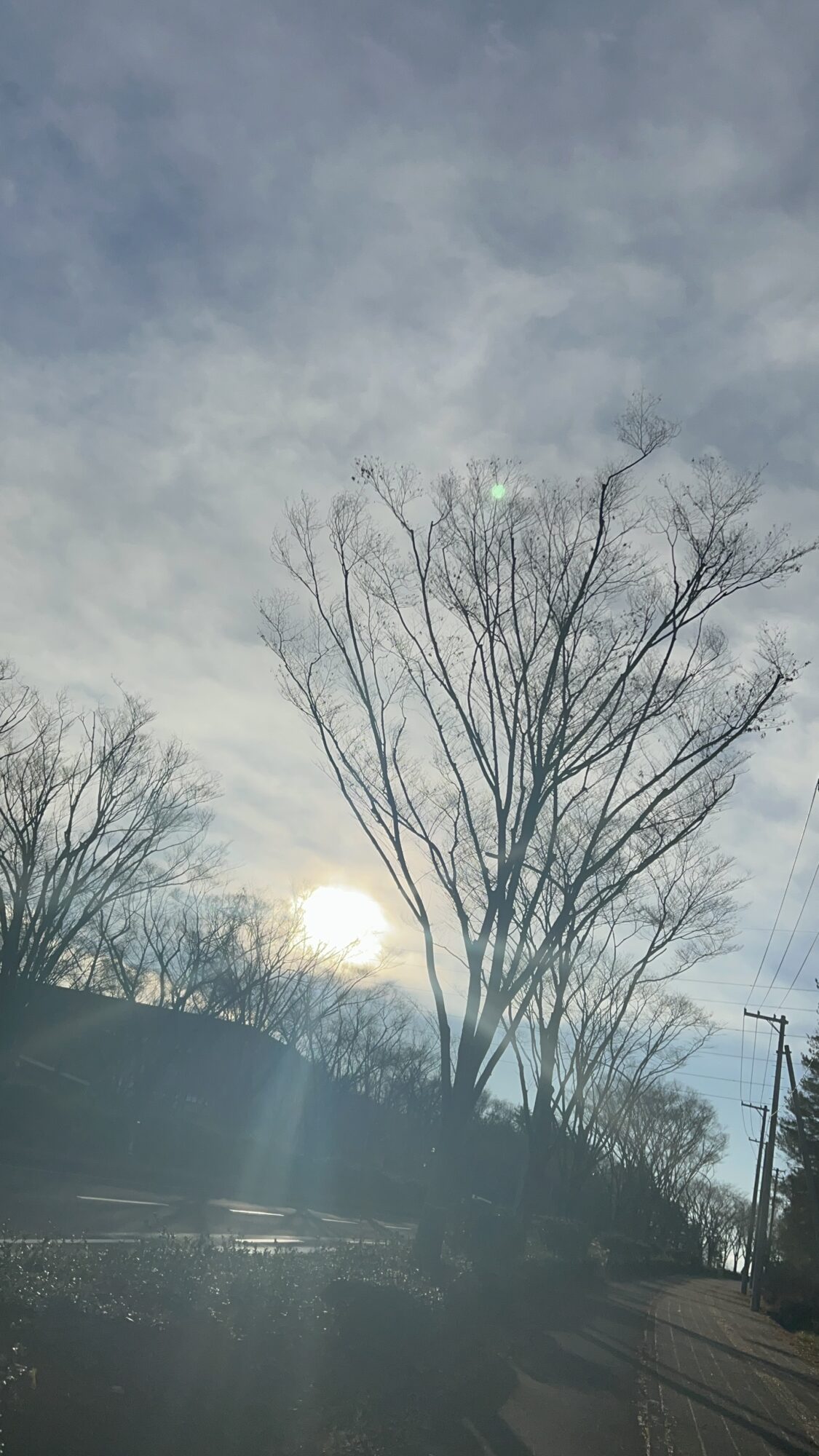 インスタ動画紹介「Morning Sunlight 」 - novalue - 自分らしさで彩るメディア