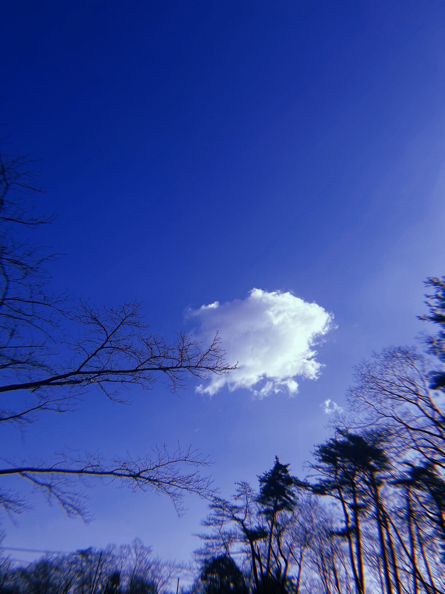 インスタ動画紹介「energy flow」 - novalue - 自分らしさで彩るメディア