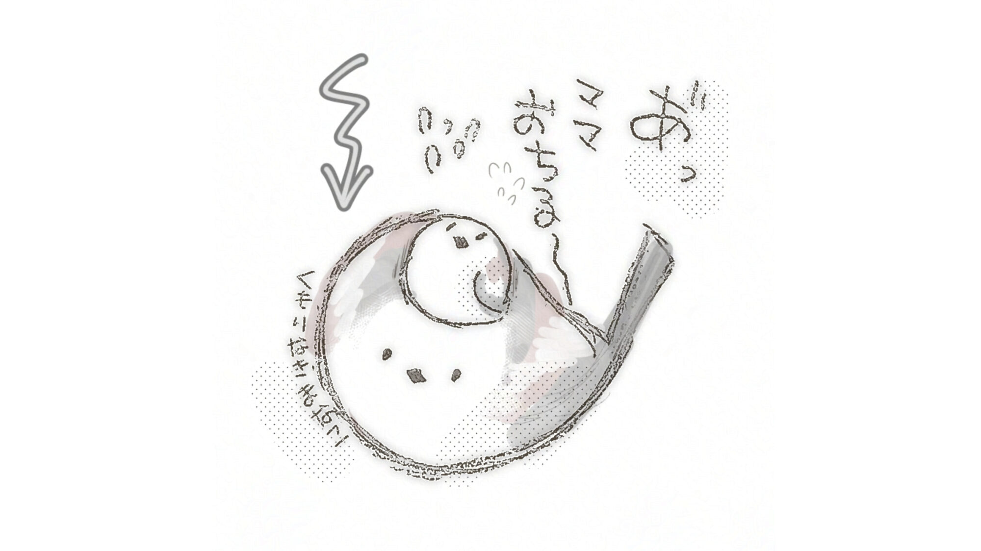 はじめましてのご挨拶。 - novalue - 自分らしさで彩るメディア