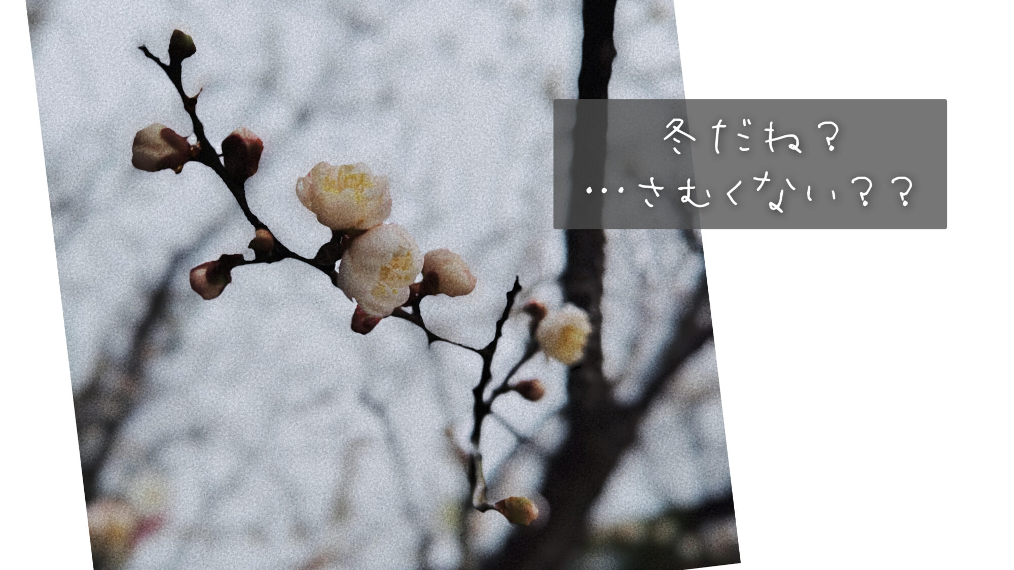 日進月歩、日々一歩。 - novalue - 自分らしさで彩るメディア